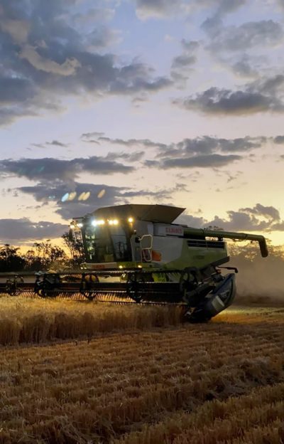 Horizon Commodities Dalby – Dalby Grain Storage and Drying