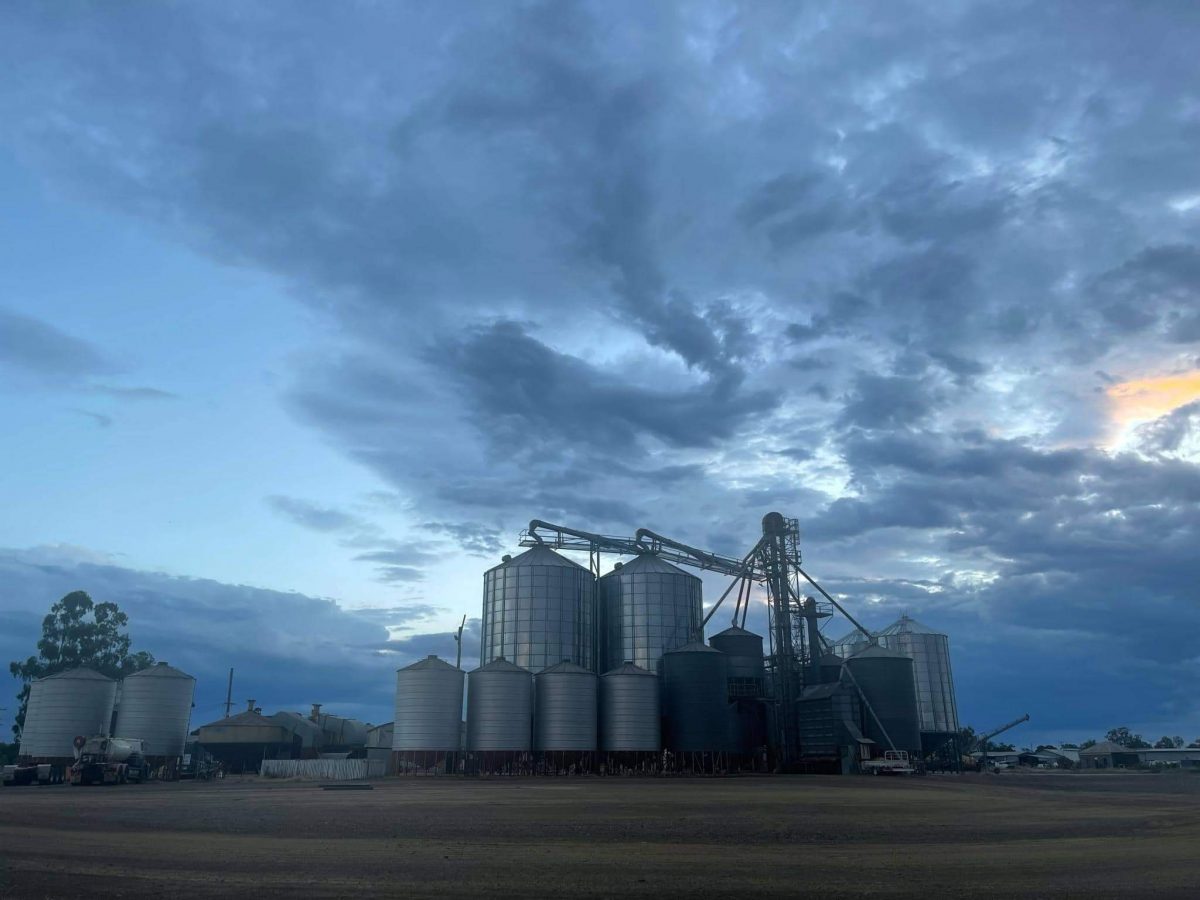 Our Story – Horizon Commodities Dalby
