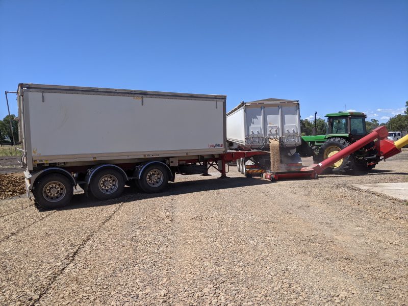Grain Storage – Horizon Commodities Dalby
